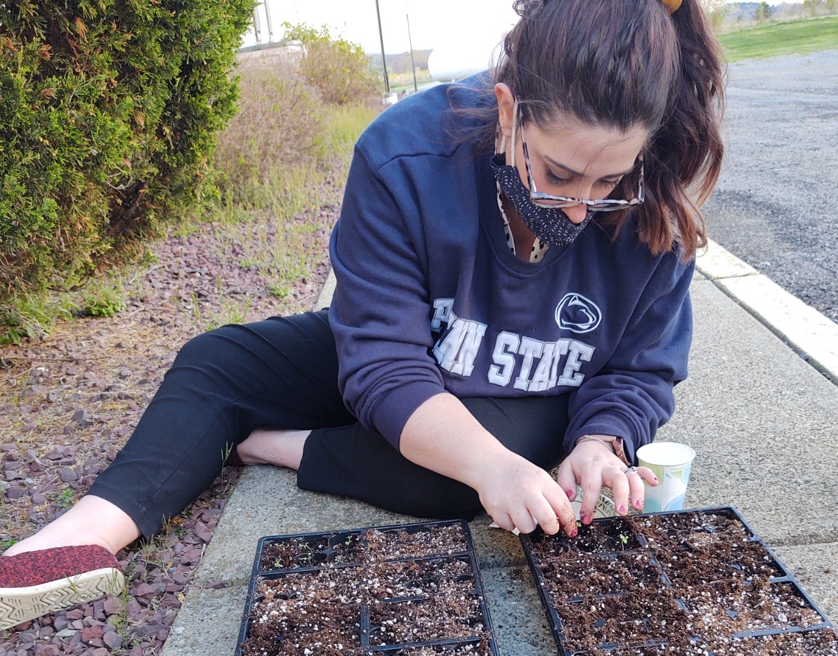 Master Gardeners' 'Seed to Supper' program grows food options for families | Penn State University